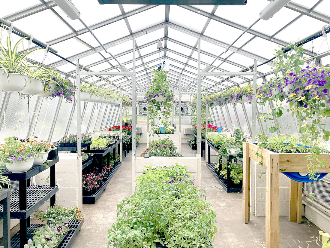 Spring plant sale to be held in Academy’s new greenhouse | News, Sports ...
